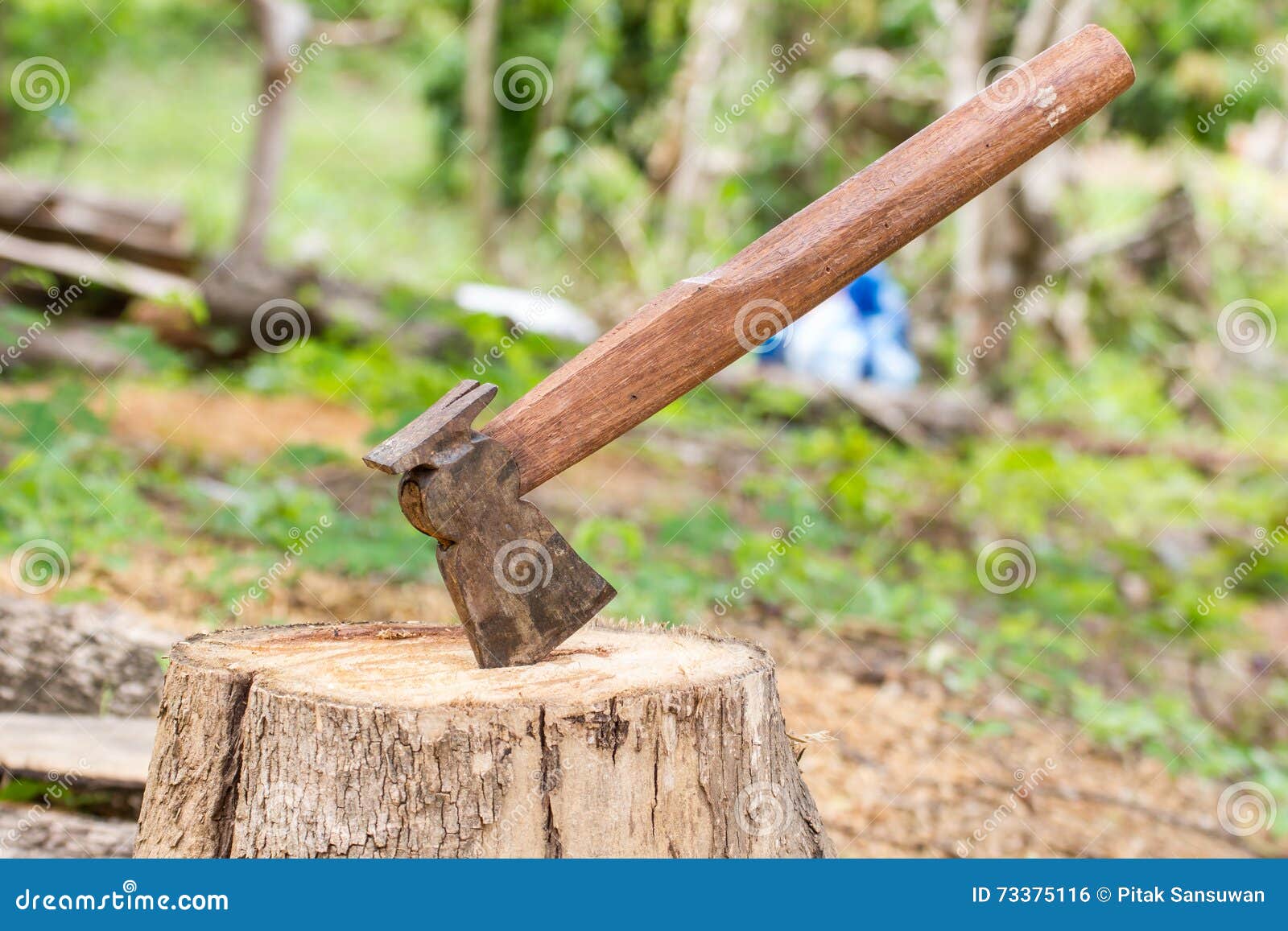 Axe stuck in stump stock photo. Image of outside, firewood - 73375116