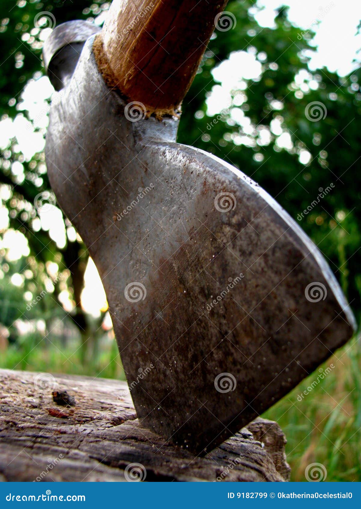 An Axe Stuck In A Tree Royalty-Free Stock Photo | CartoonDealer.com ...
