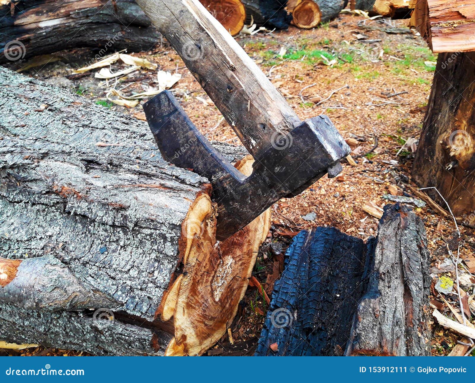 Axe Stuck in a Wood stock image. Image of stuck, chopping - 153912111