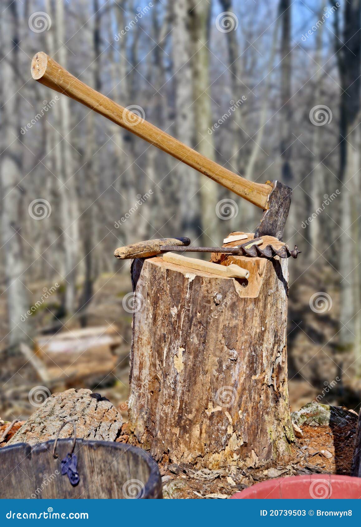 Axe in Stump stock image. Image of handle, metal, hatchet - 20739503