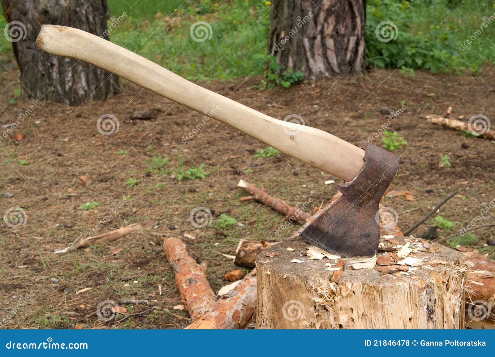 Axe in stump stock photo. Image of iron, haft, heavy - 21846478