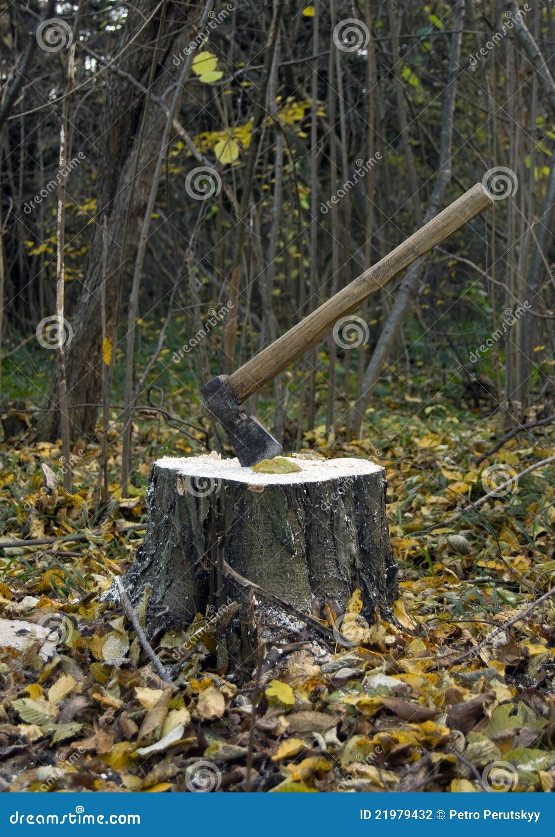 Axe and stump stock photo. Image of agriculture, piece - 21979432