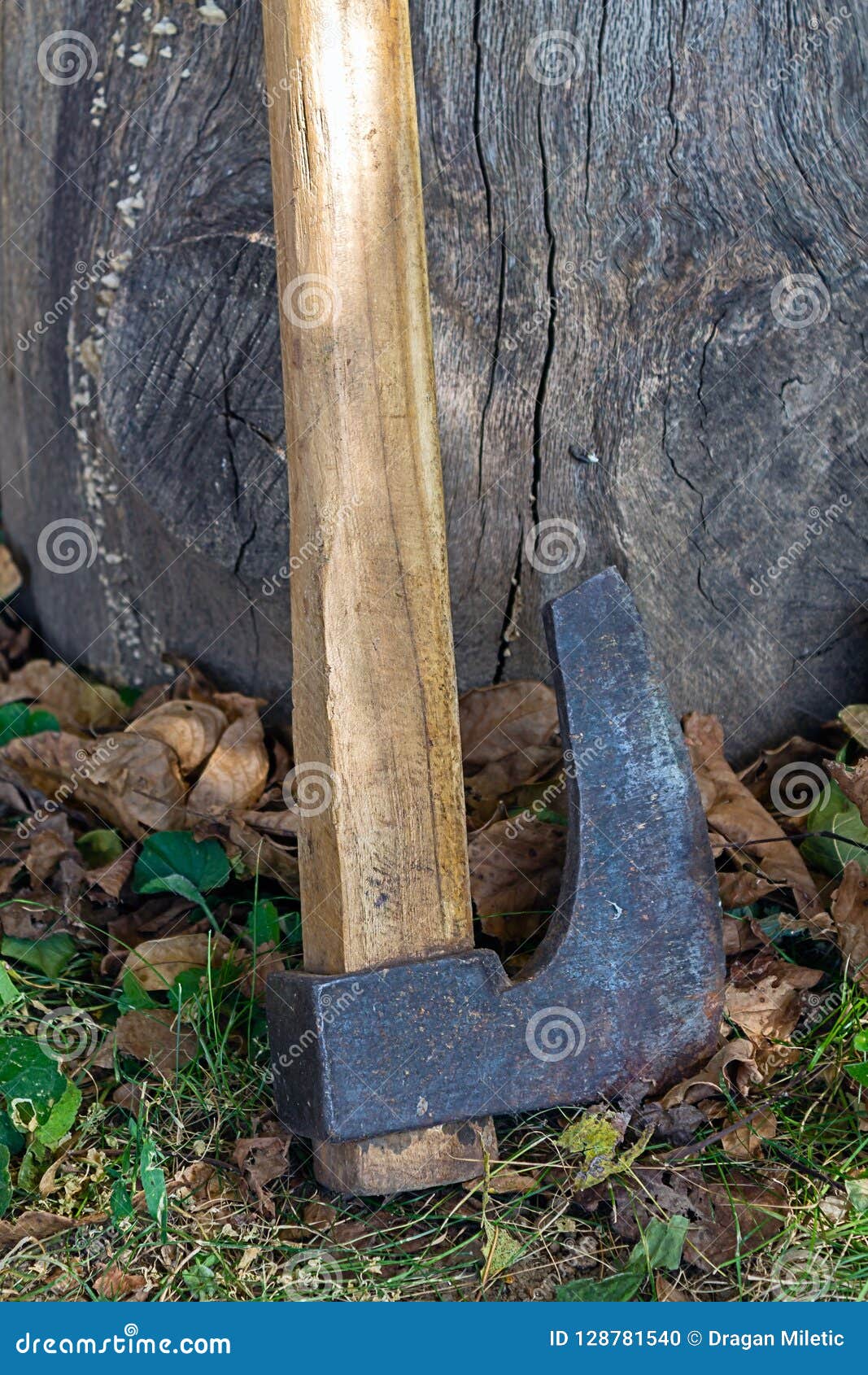 Axe and Stump, Ready for Cutting Stock Photo - Image of standing ...