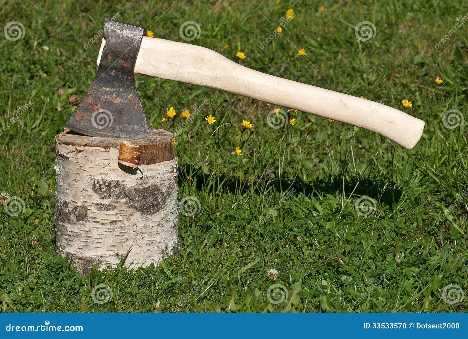 An axe and a stump. stock photo. Image of cortex, plant - 33533570