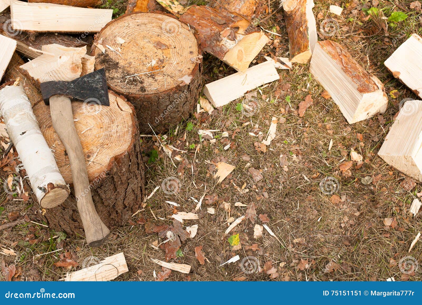 Axe and Stumps on the Ground. Stock Image - Image of forest, lumber ...