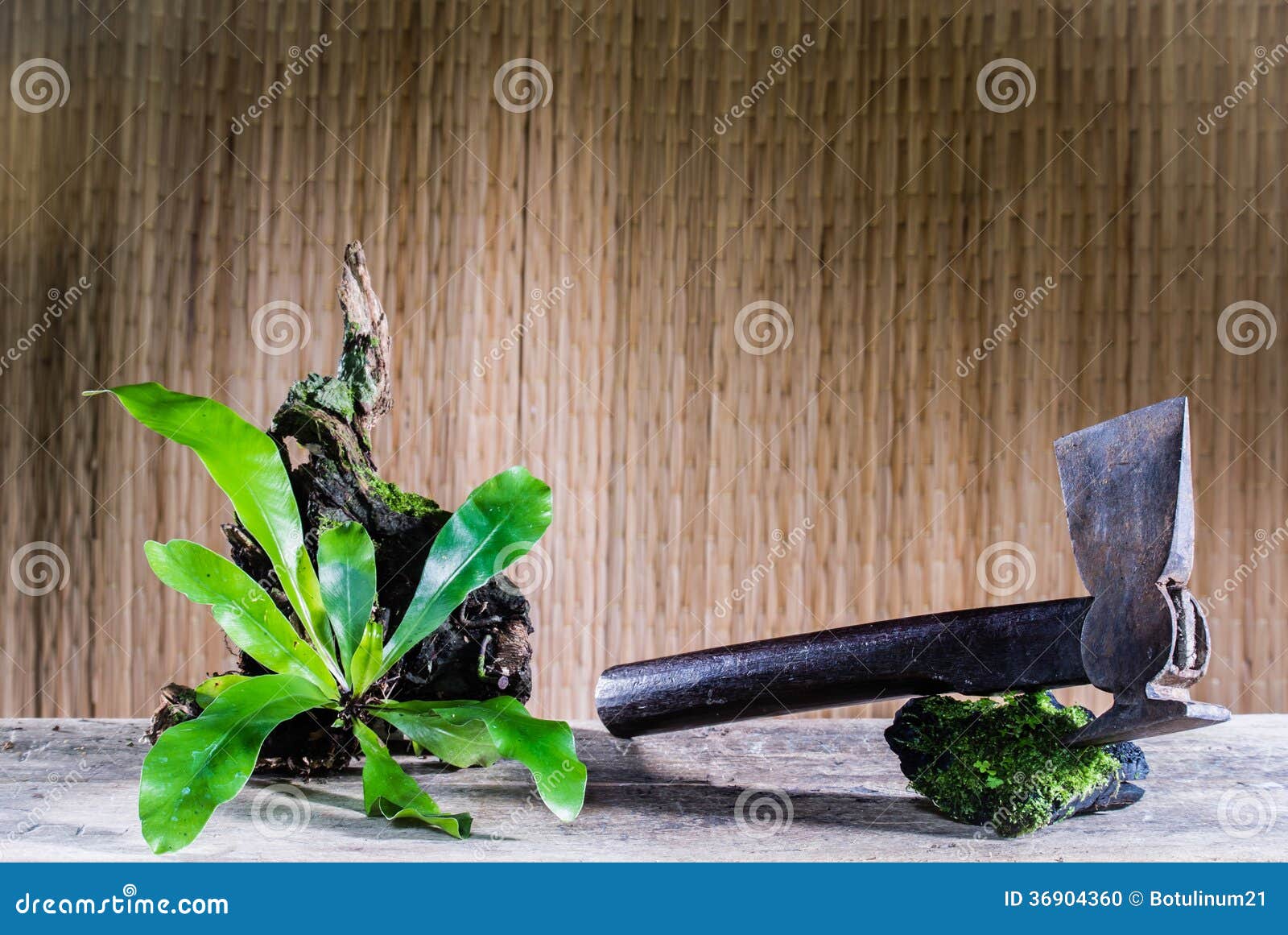 Axe stock photo. Image of iron, metal, blade, parasite - 36904360