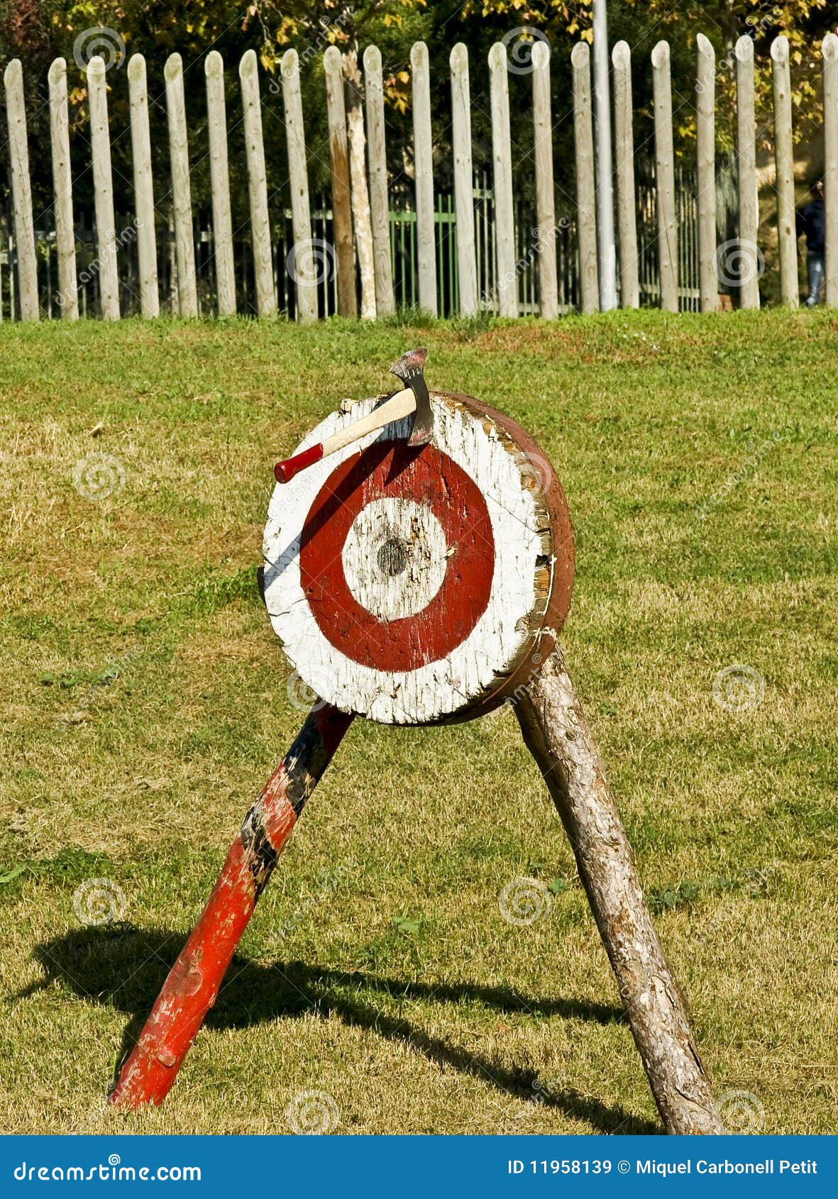Axe on target stock image. Image of nature, green, lumberjack - 11958139