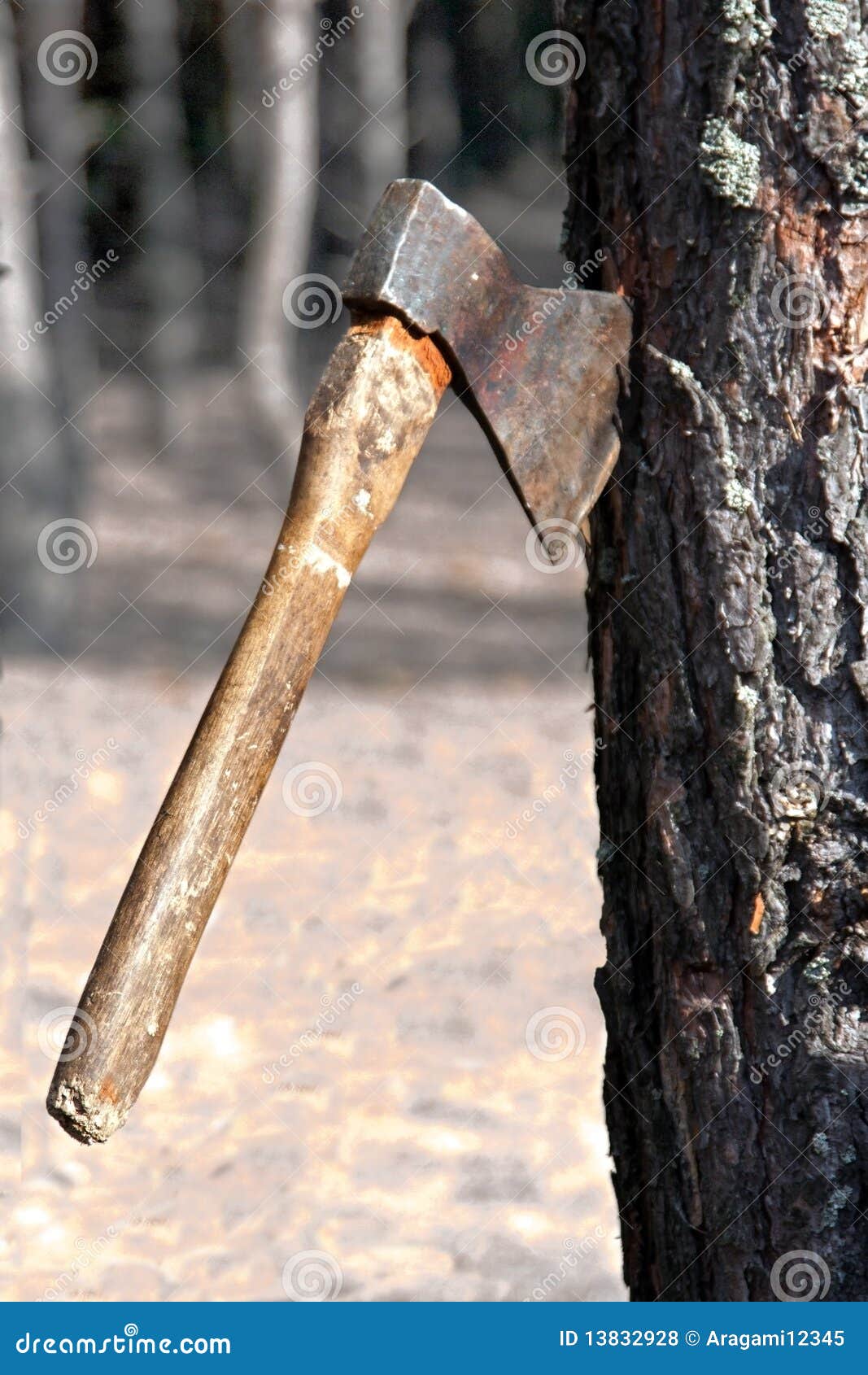 Axe in the tree stock photo. Image of slice, life, lumber - 13832928