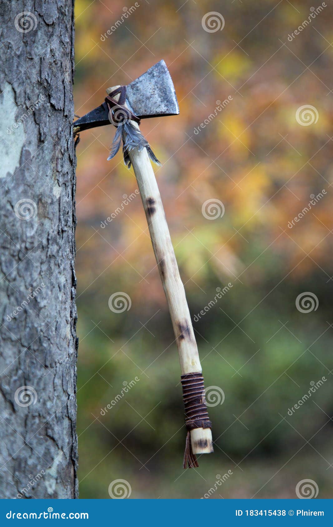 Axe in a tree stock photo. Image of danger, iron, bark - 183415438
