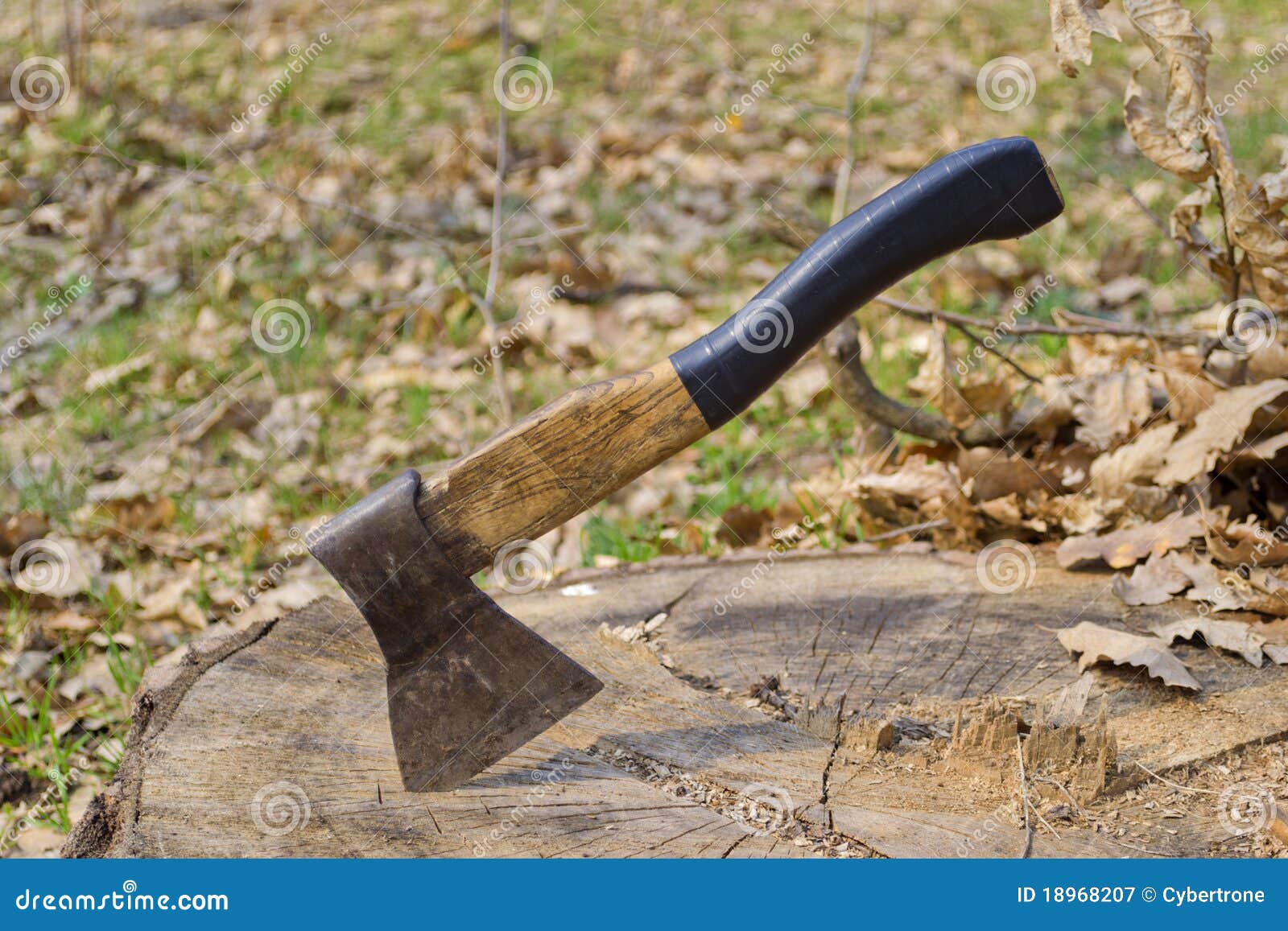 Axe in tree stub stock image. Image of hack, cutout, lumberjack - 18968207