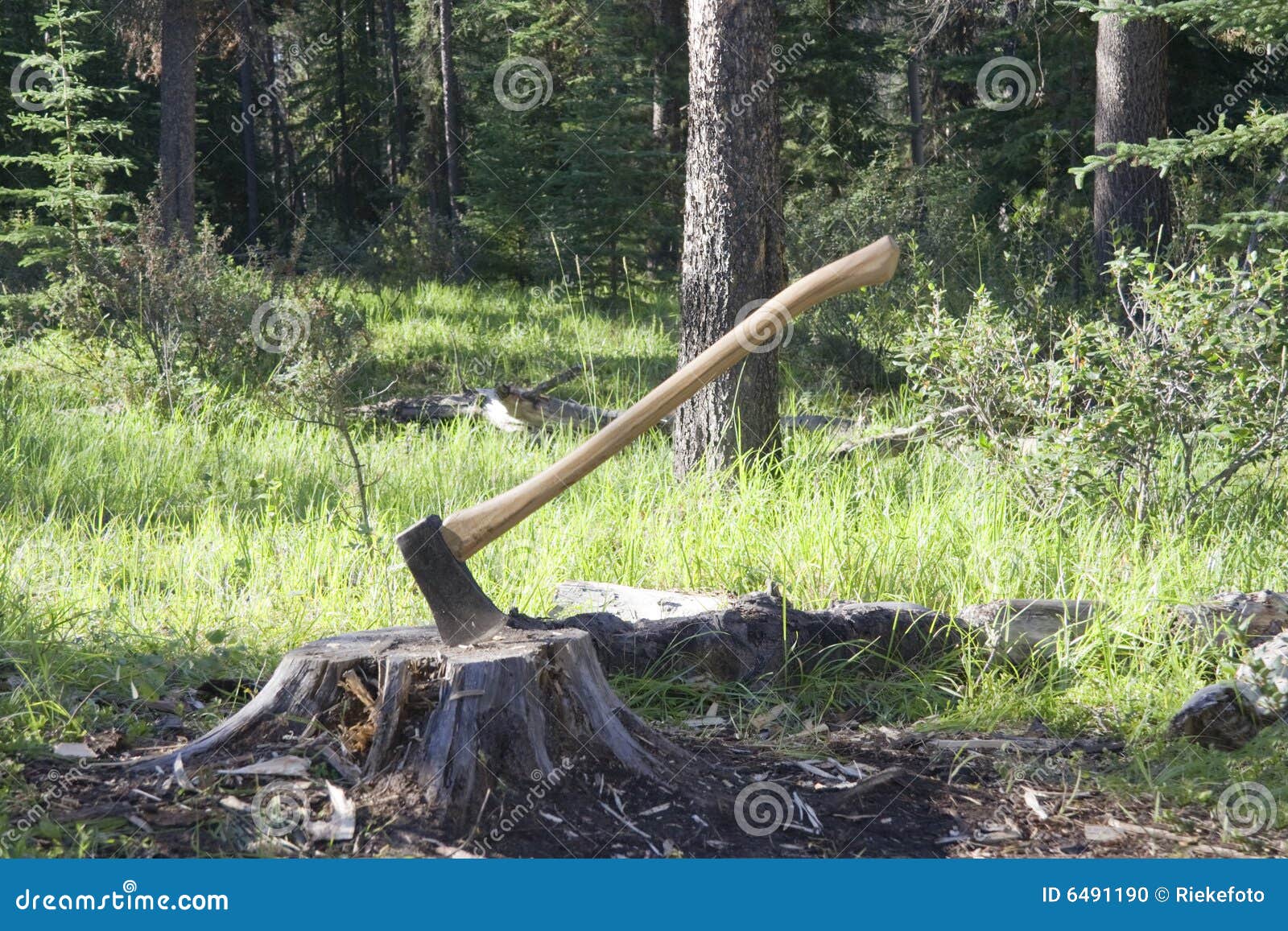 Axe in tree stump stock photo. Image of energy, rural - 6491190