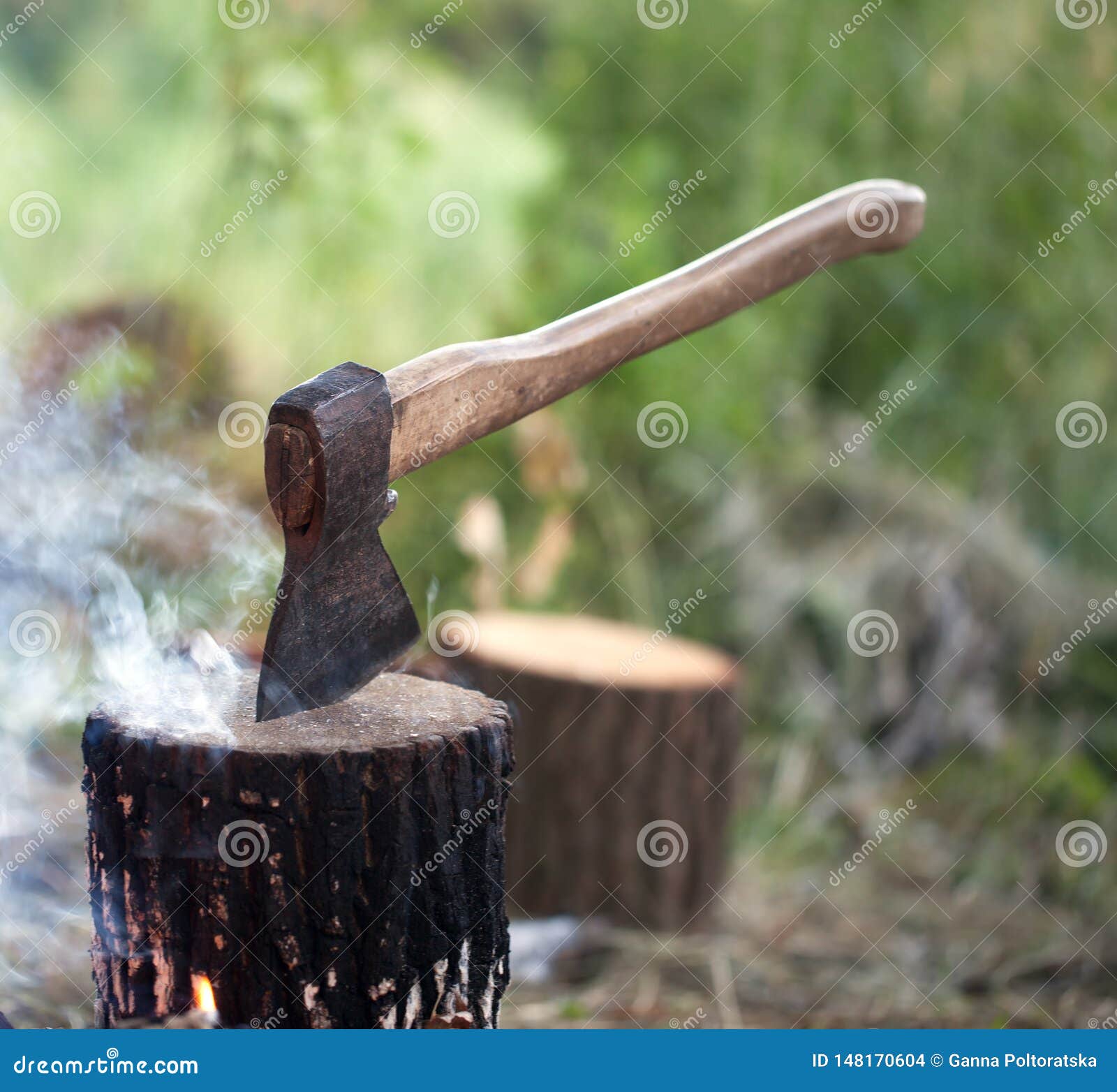 Axe in Tree Stump and Campfire with Smoke in Summer Forest Stock Photo ...