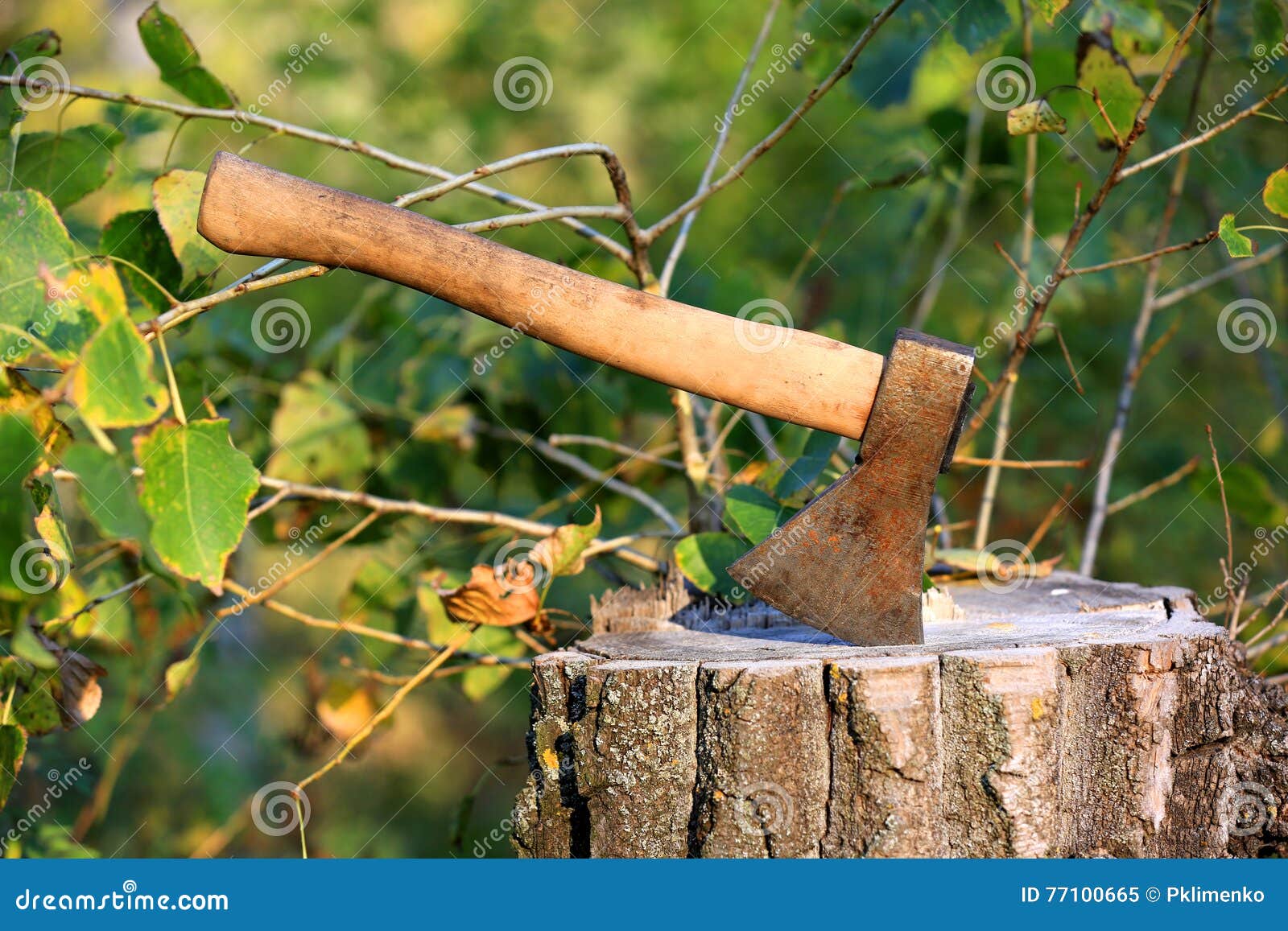 Axe on Tree Stump in Forest Stock Image - Image of closeup, grip: 77100665