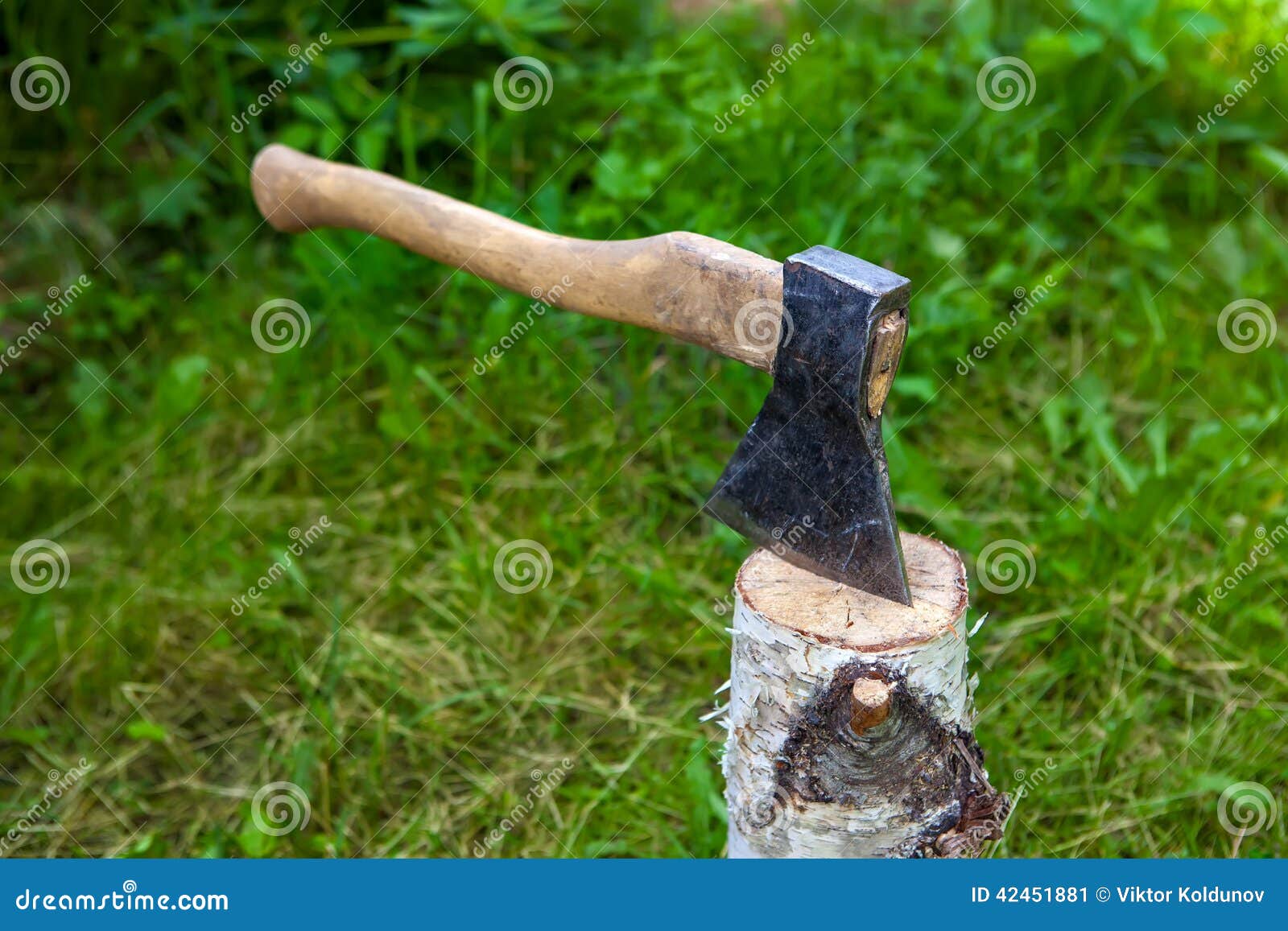 Axe in a tree stump stock image. Image of forestry, green - 42451881