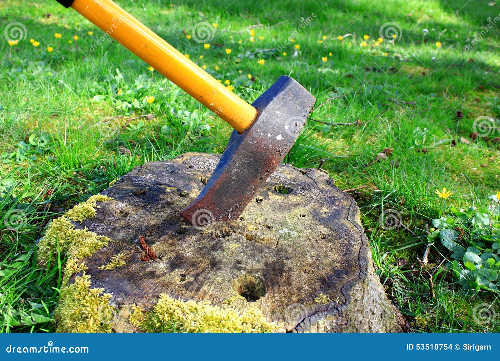 Axe in tree stump stock photo. Image of stump, bark, handle - 53510754