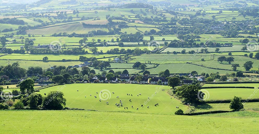 Axe Valley stock image. Image of animals, area, outstanding - 75399965