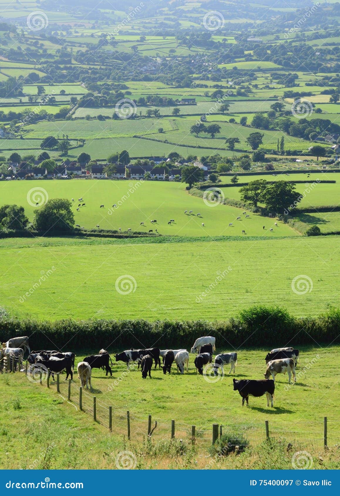 Axe Valley stock image. Image of natural, beauty, countryside - 75400097