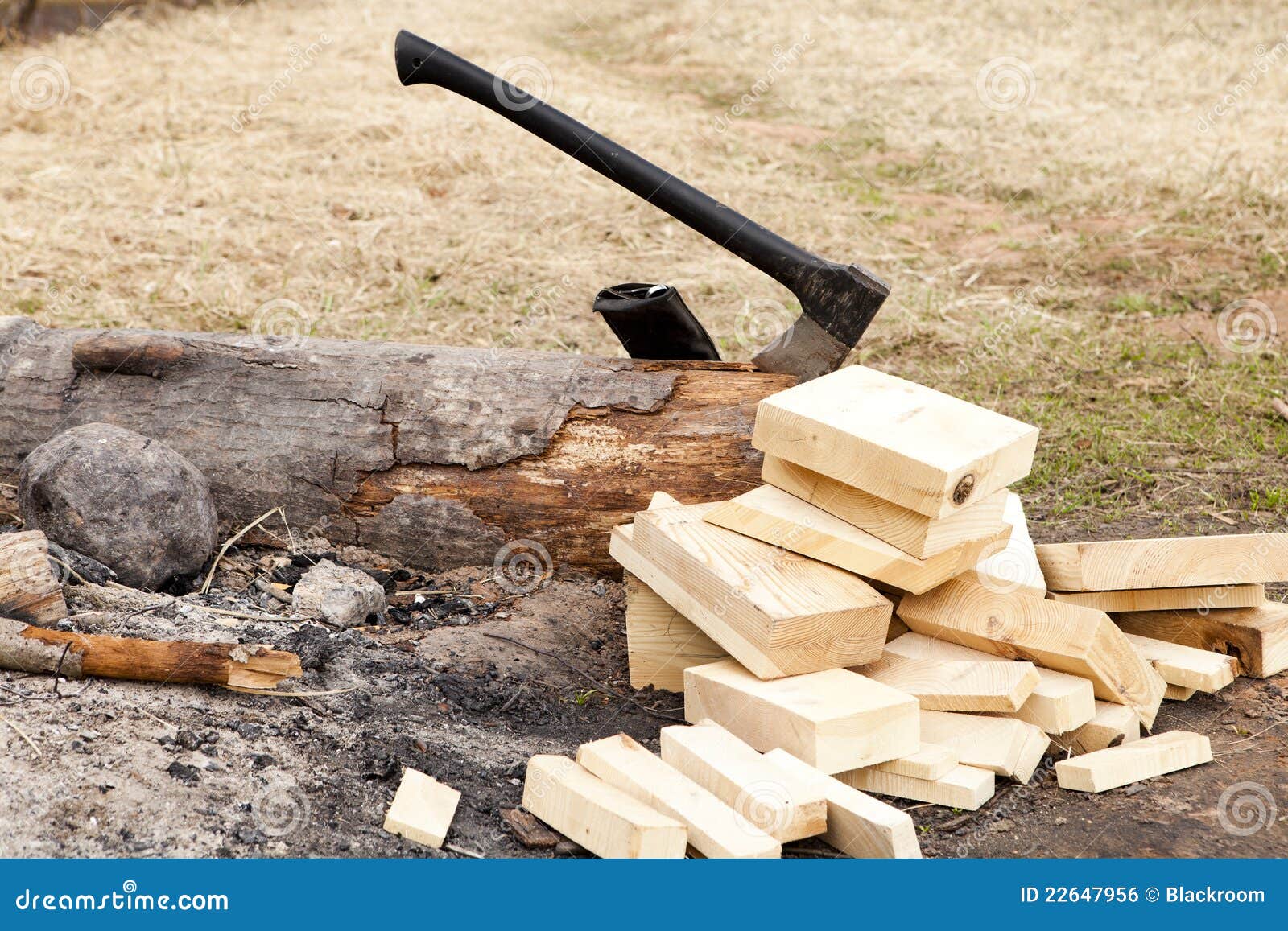 Axe and wood stock photo. Image of branch, timber, natural - 22647956