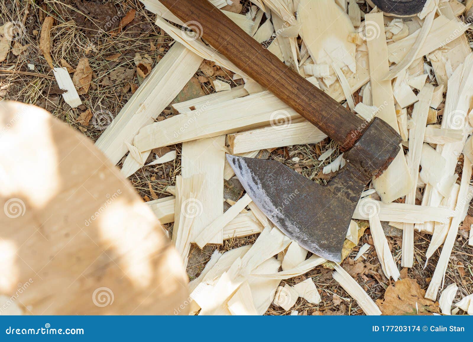 Axe and Wood on Cuttings Left from Tool Making Stock Photo - Image of ...