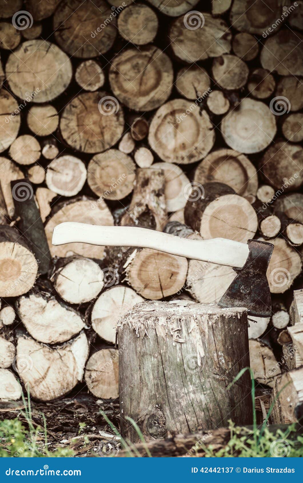 Axe on the wood log stock image. Image of tree, close - 42442137