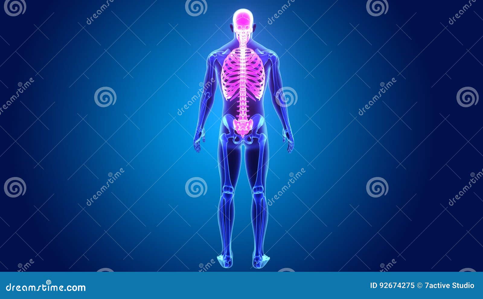 Axial Cartoons, Illustrations & Vector Stock Images - 2048 Pictures to ...