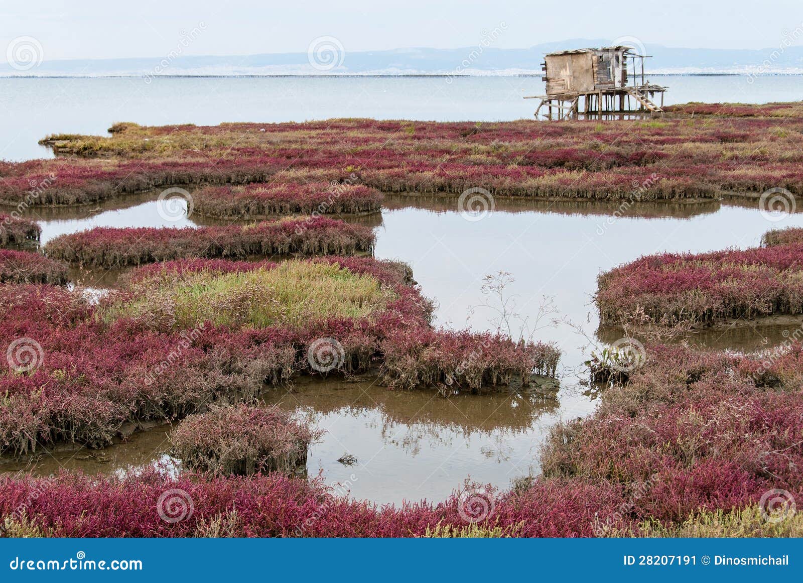 Axios Delta stock image. Image of delta, grass, plant - 28207191