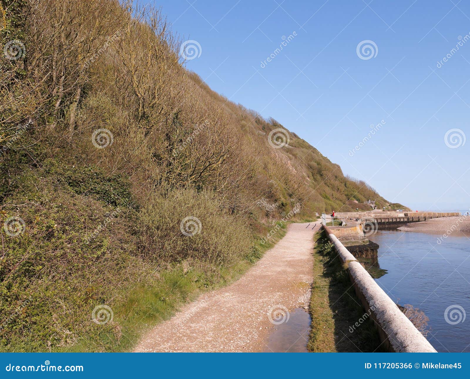Axmouth-Lyme Regis Undercliffs Arkivfoto - Bild av djurliv, reserv ...