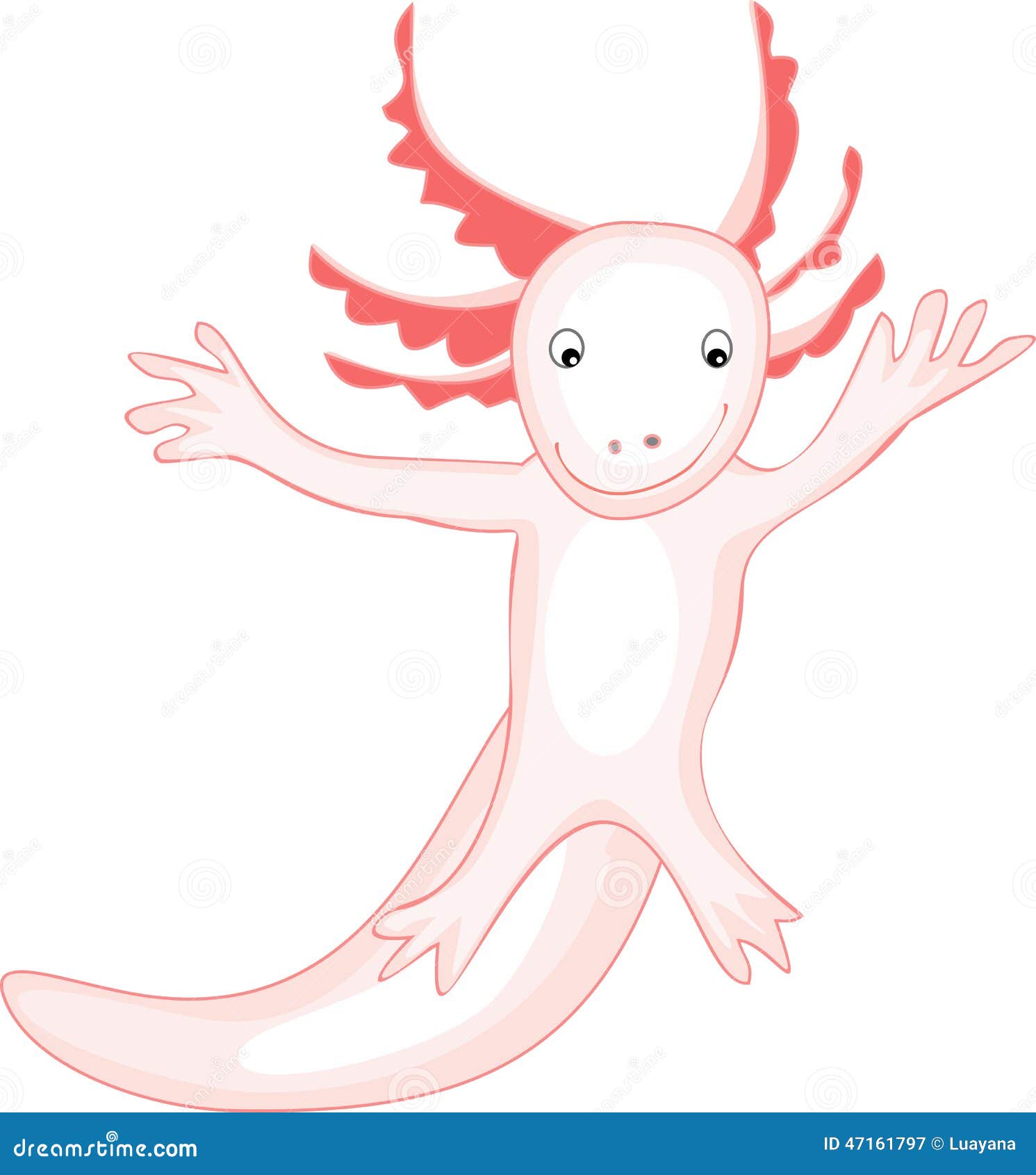 Axolotl (Mexican Salamander) Stock Vector - Illustration of reptile ...