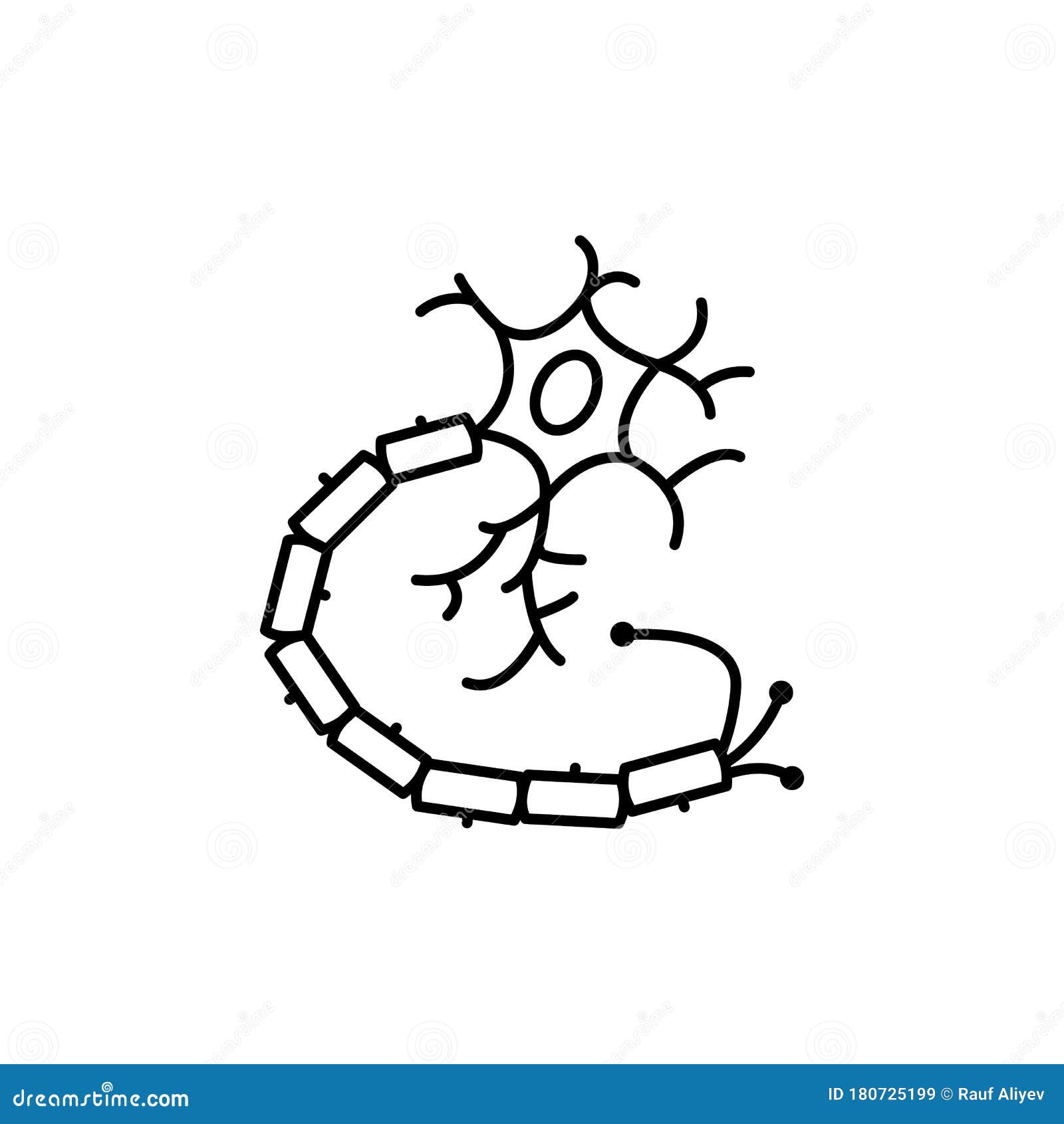 Axon Vector Illustration. Labeled Diagram With Explanation And ... Axon Vector Illustration. Labeled Diagram With Explanation And ...