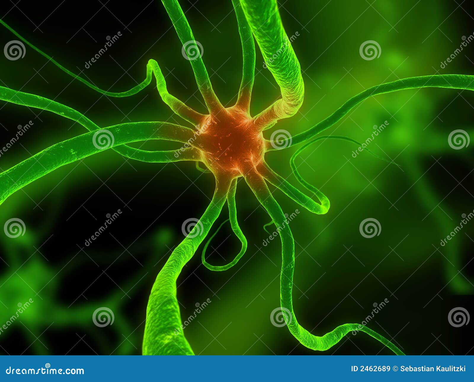 Axone illustration stock. Illustration du noyau, était - 2462689