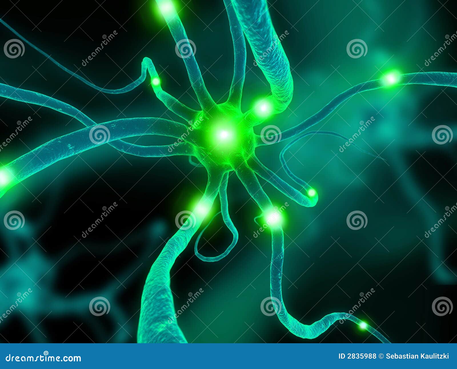 Axone actif illustration stock. Illustration du était - 2835988