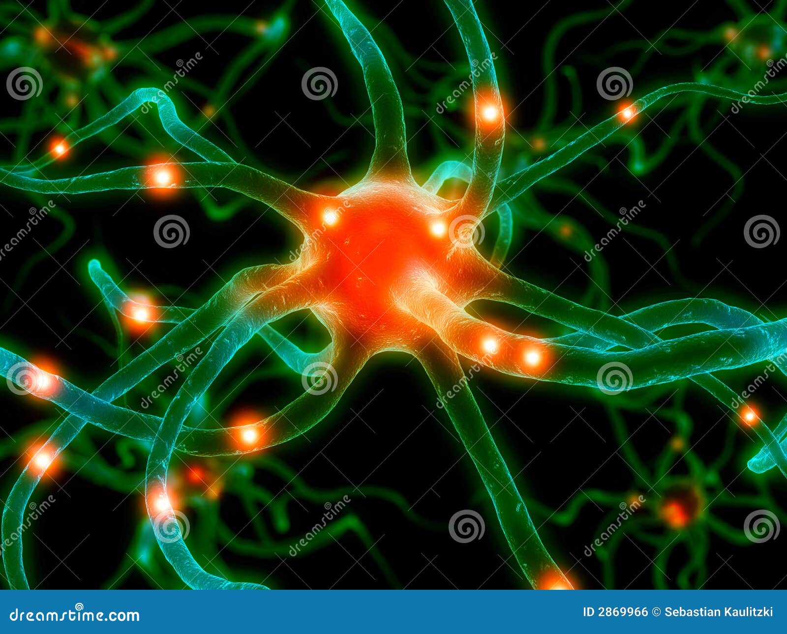 Axone actif illustration stock. Illustration du nerf, humain - 2869966