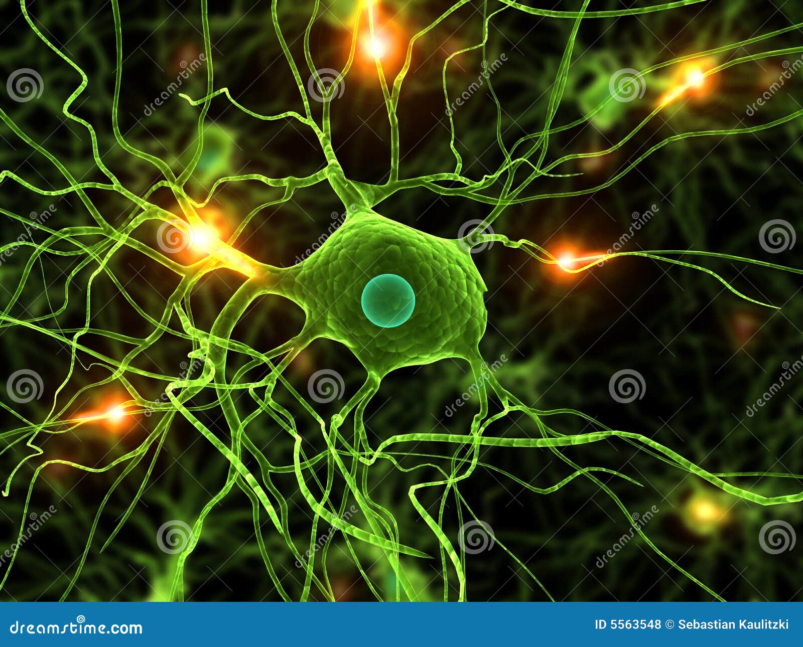 Axone actif illustration stock. Illustration du cellule - 5563548