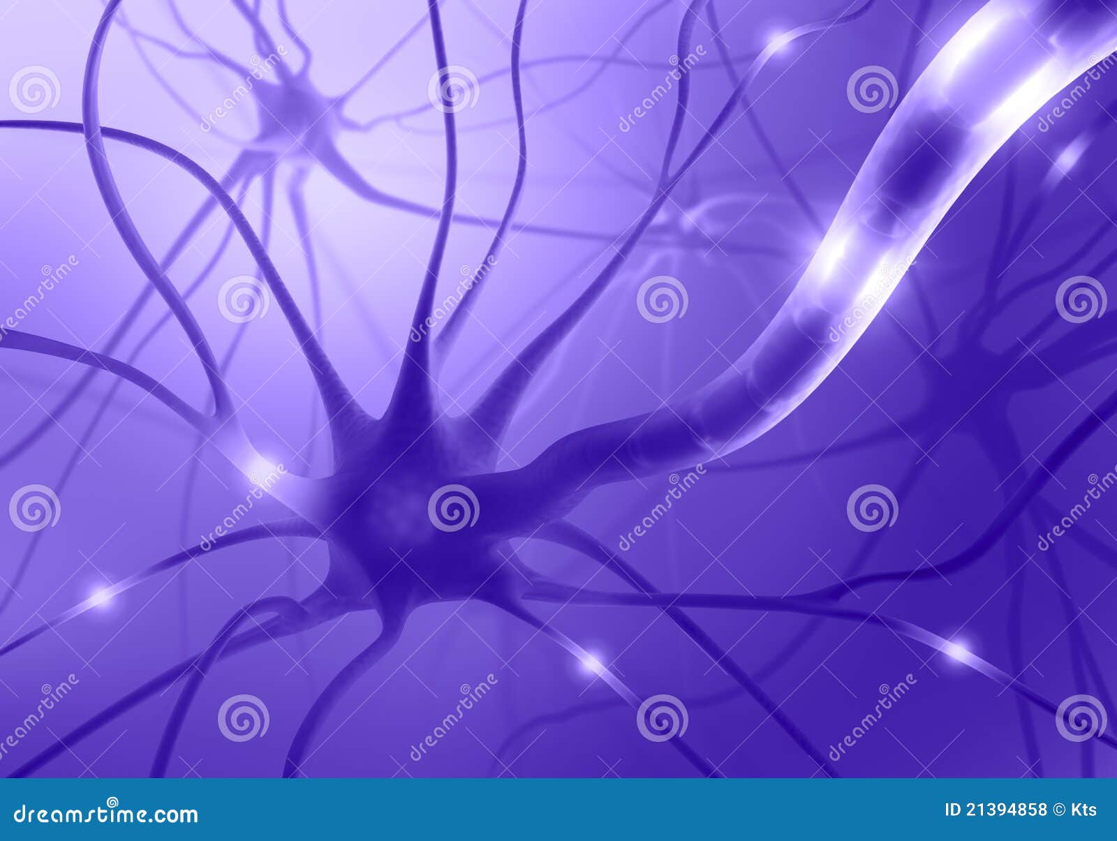 Axone de cellule nerveuse illustration stock. Illustration du neuronal ...
