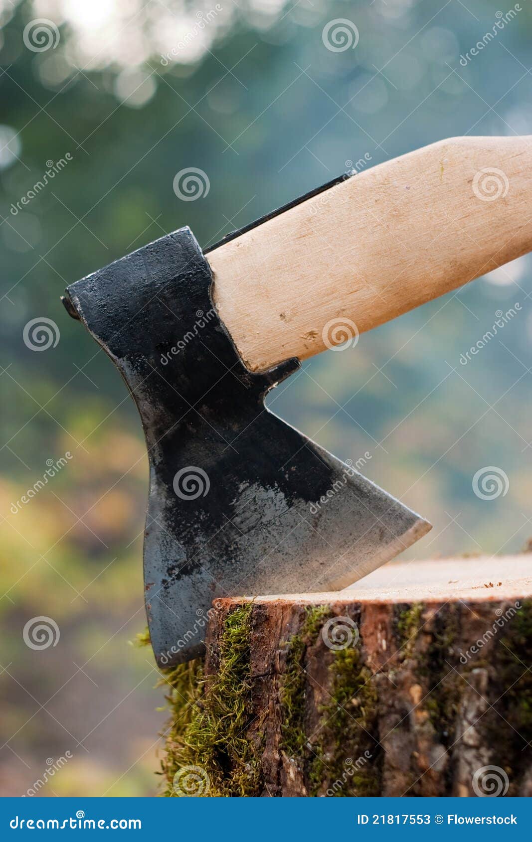 Axt stockbild. Bild von feuer, instrument, land, hieb - 21817553
