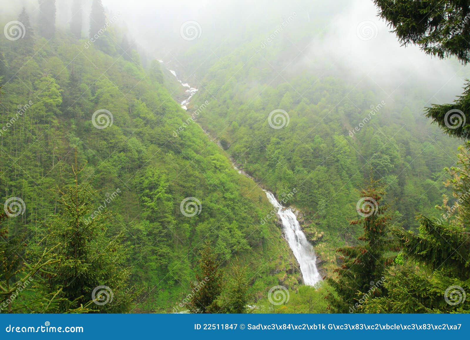 Ayder Valley stock image. Image of autumn, characteristic - 22511847