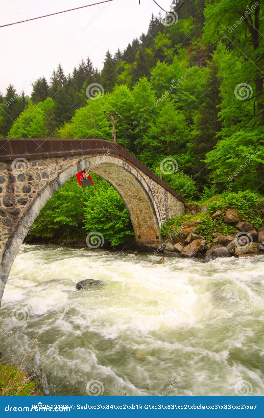 Ayder Valley stock image. Image of ayder, calm, pretty - 22512133