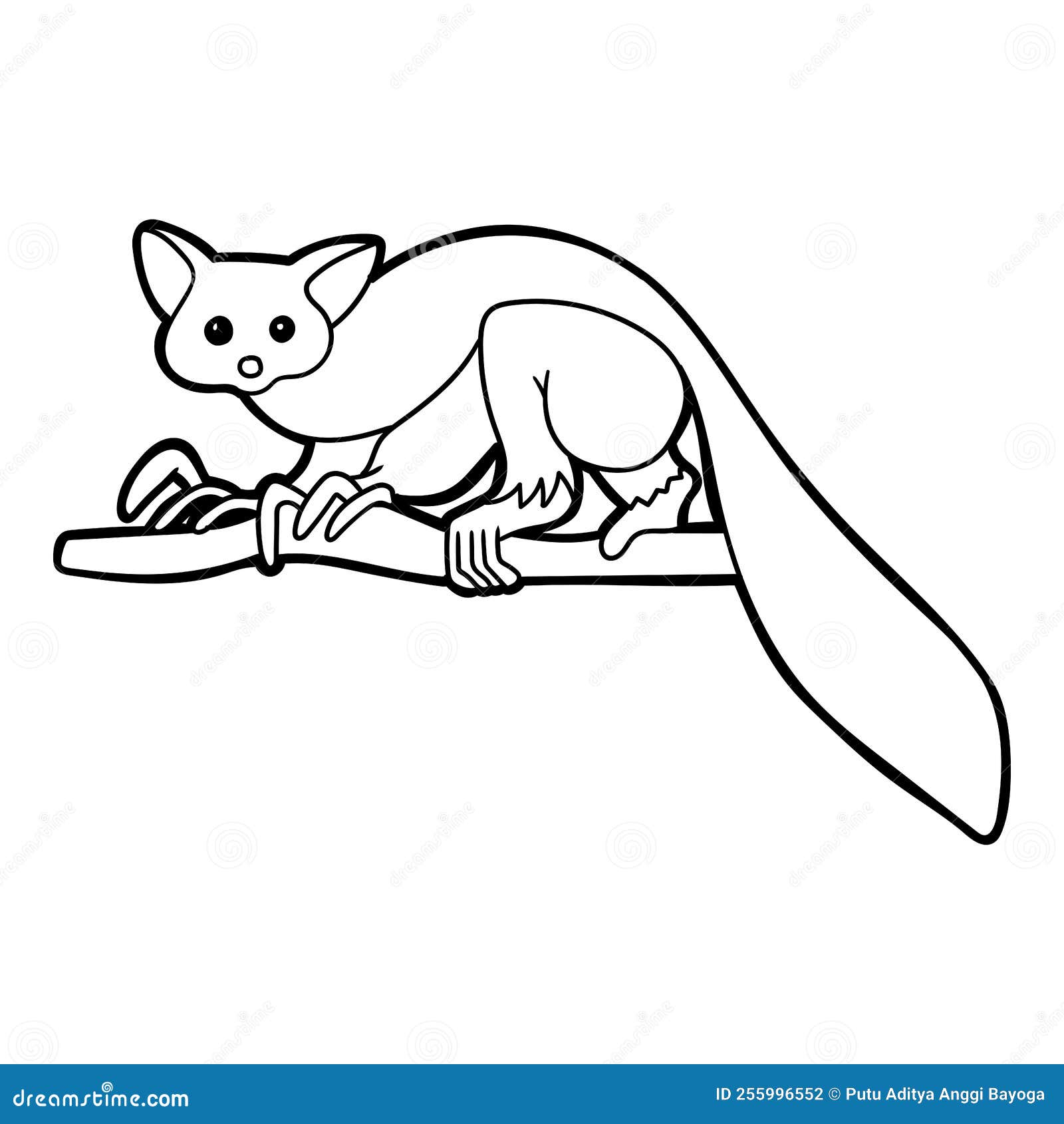 Aye aye coloring page stock vector. Illustration of character - 255996552