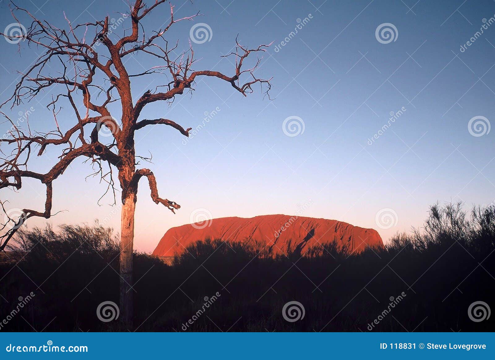 Ayers Rock editorial photo. Image of tree, sunset, glow - 118831