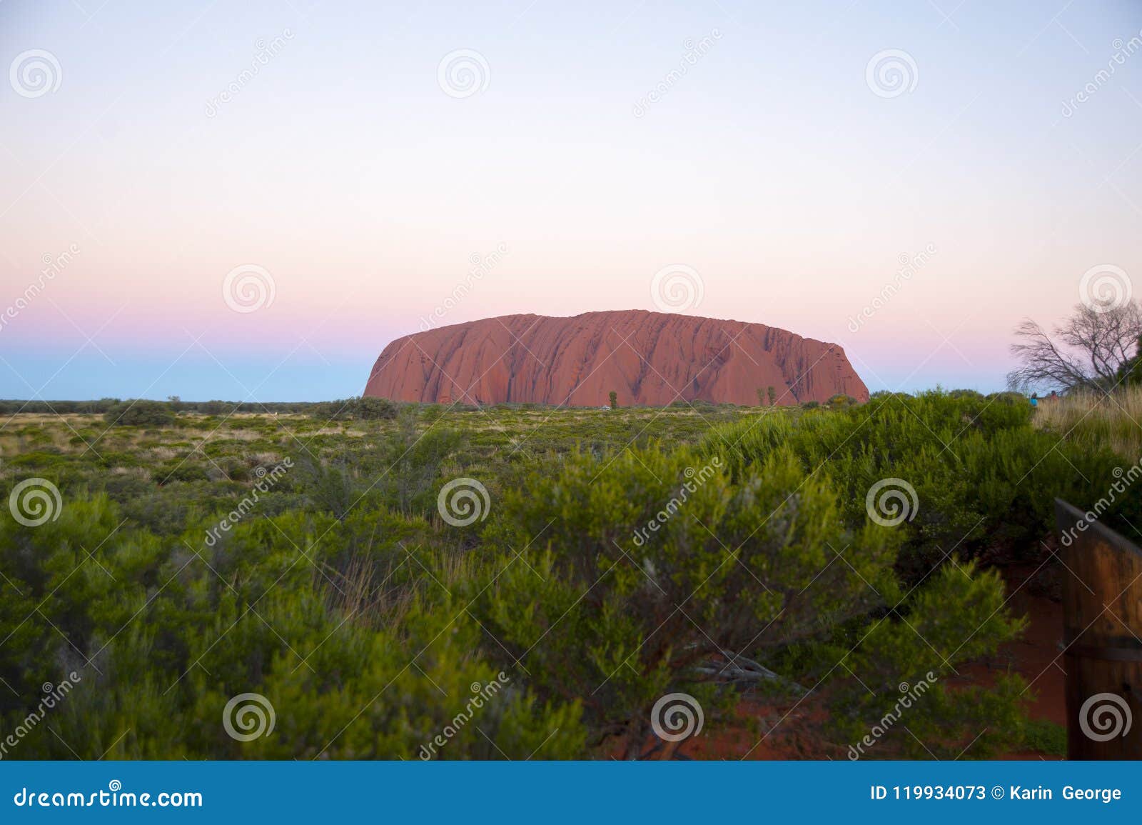 Ayers Rock, Australia at Sunset with Lots of Greenery. Editorial Stock ...