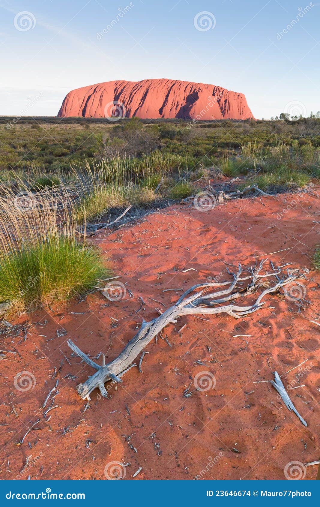 Ayers rock (Uluru) editorial stock image. Image of indigenous - 23646674