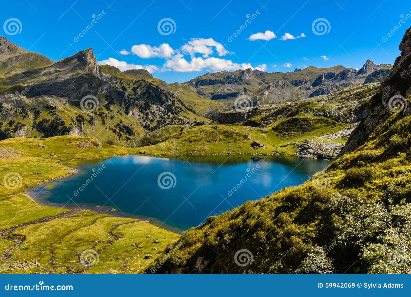 The Ayous Lake stock image. Image of birds, altitude - 59942069