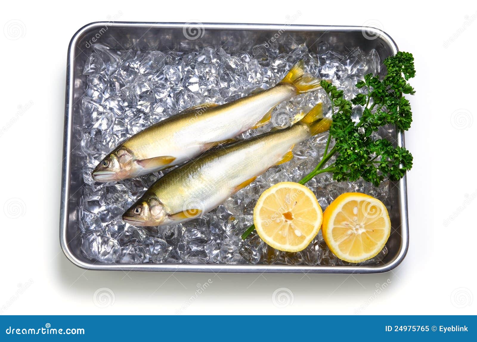 Ayu imagen de archivo. Imagen de cocinero, dulce, animal - 24975765