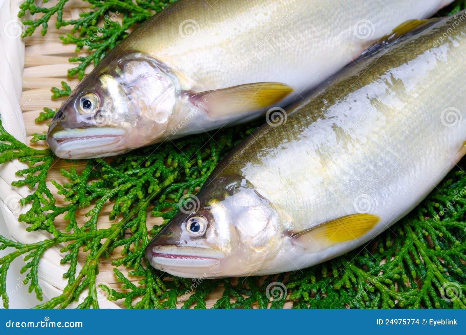 Ayu photo stock. Image du manger, durée, cuisinier, sain - 24975774