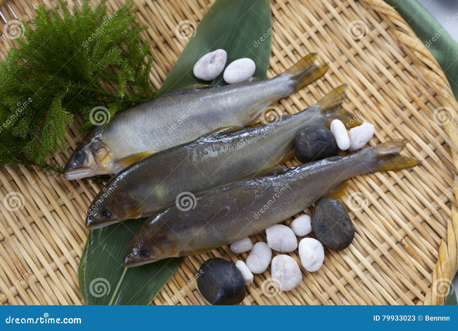 Ayu fish stock image. Image of fishnn, products, fish - 79933023