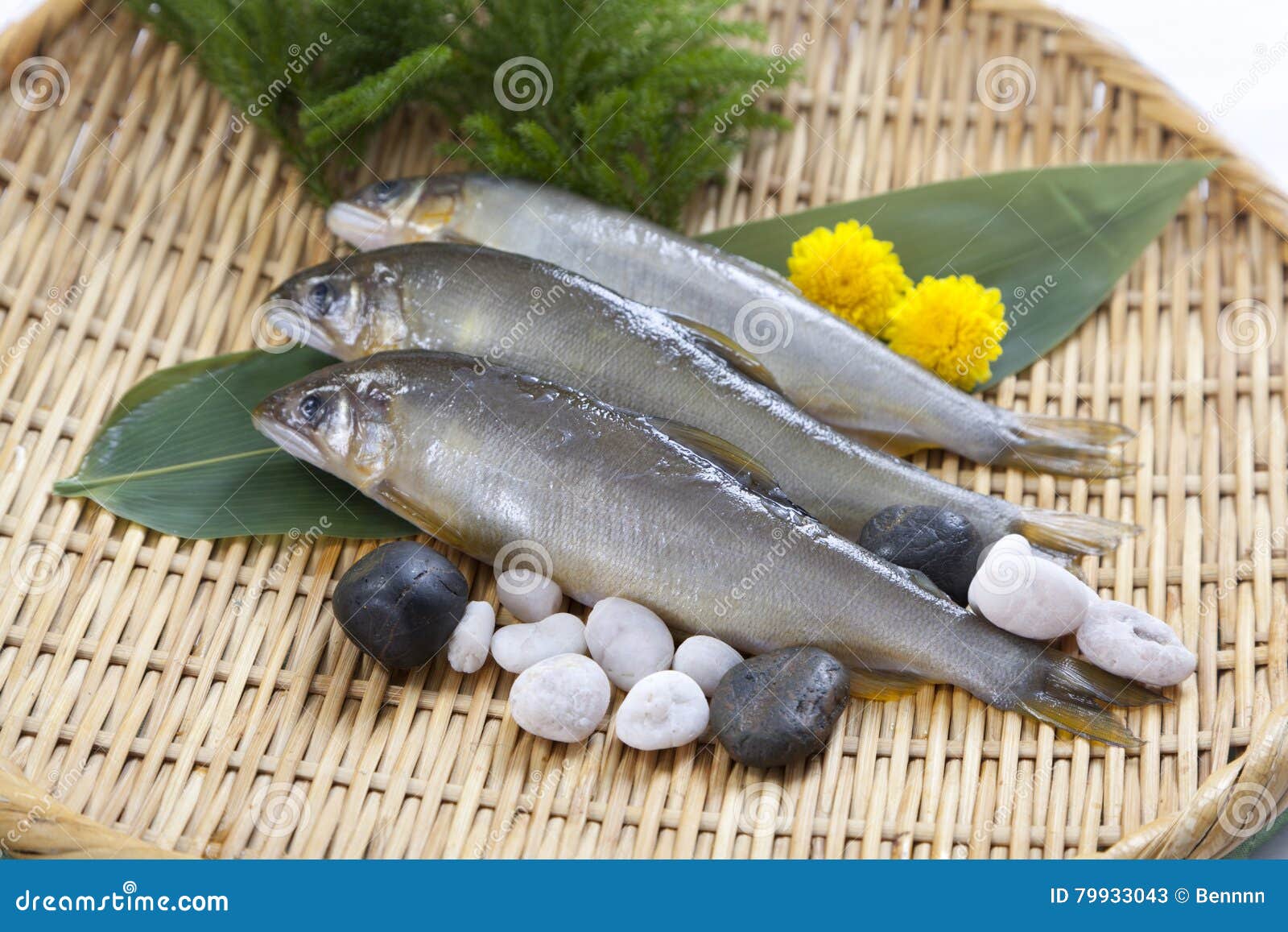 Ayu fish stock image. Image of fish, fishnn, milkfish - 79933043