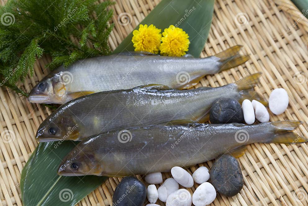 Ayu fish stock photo. Image of food, shishamo, fish, bitterling - 79933162