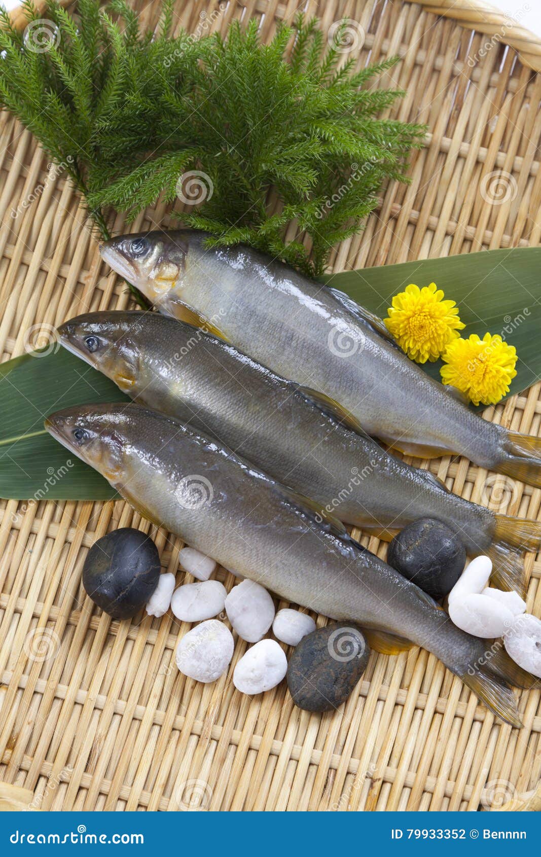 Ayu fish stock photo. Image of bitterling, shishamo, capelin - 79933352
