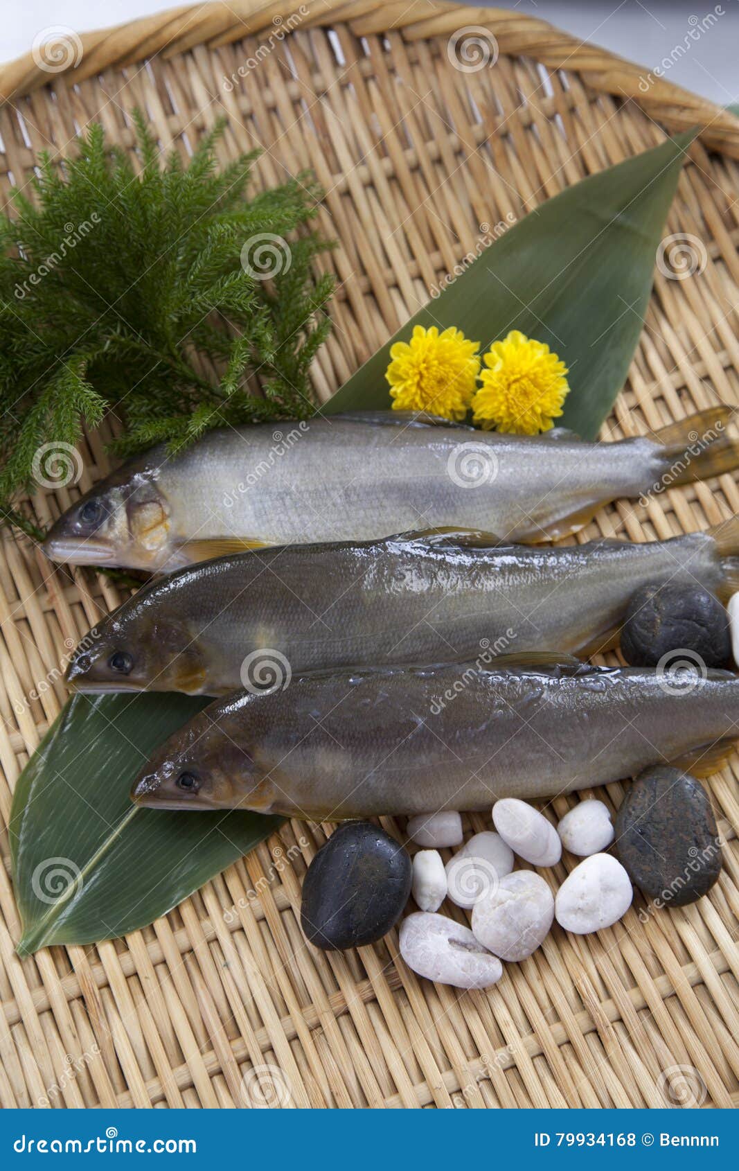 Ayu fish stock photo. Image of fish, mackerel, seafood - 79934168