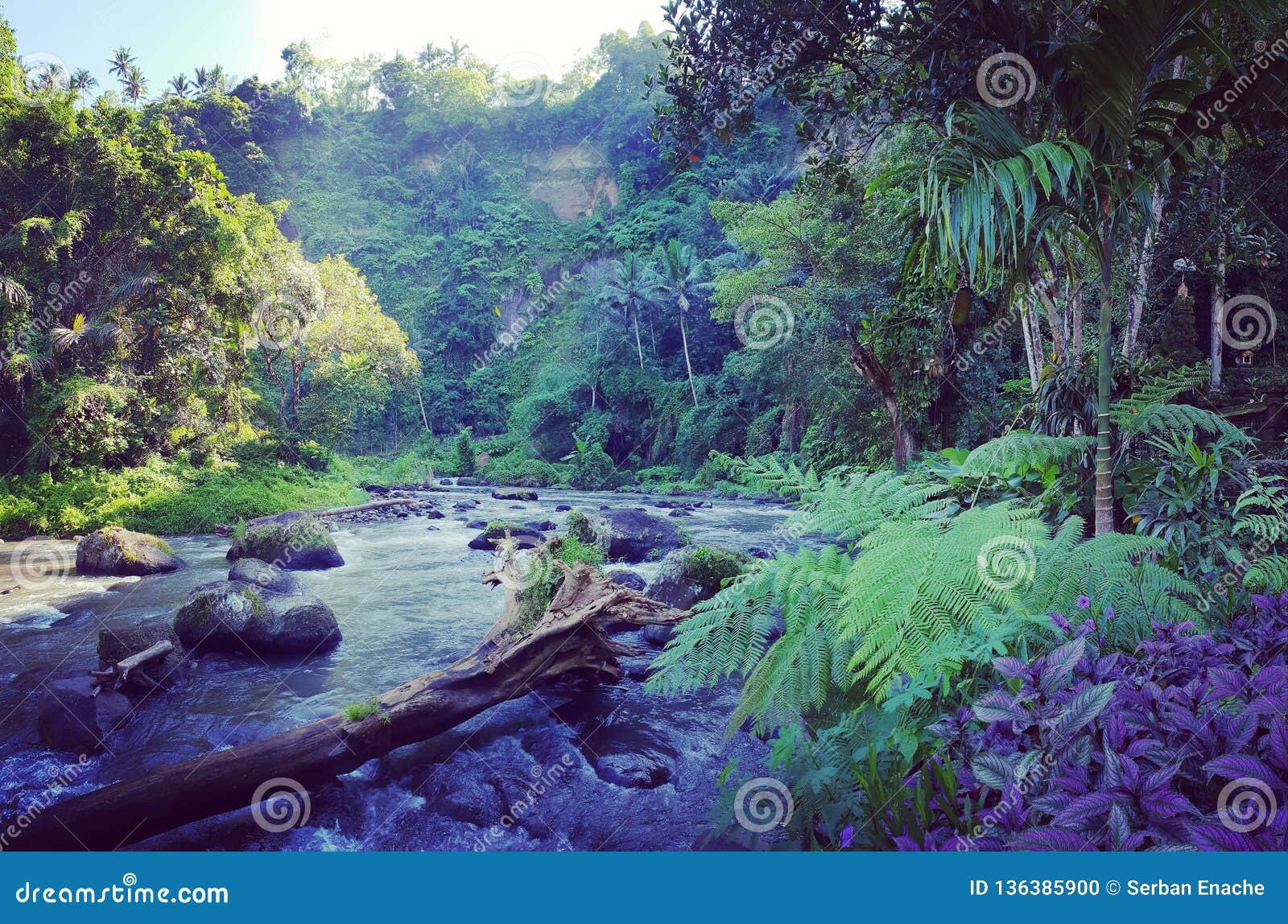 Ayung river, Ubud, Bali stock photo. Image of cutting - 136385900